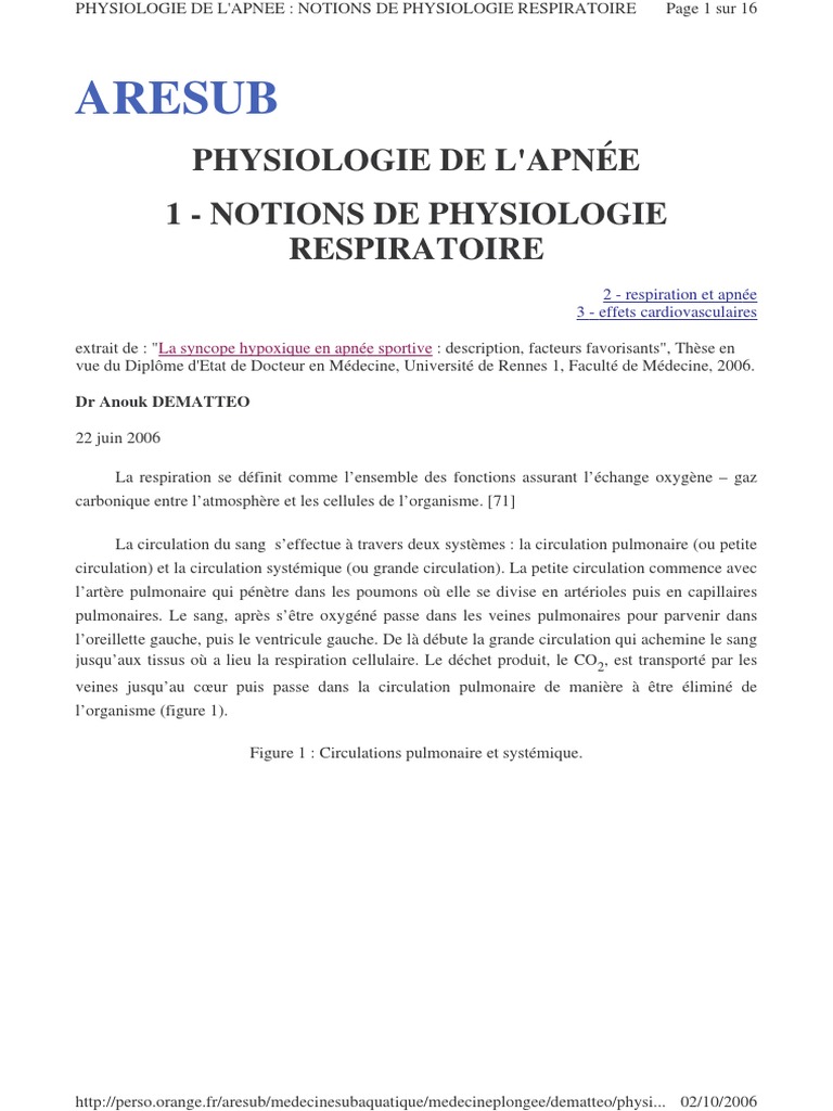 Physiologie de l'Apnée et Respiration | PDF | Respiration | Poumon