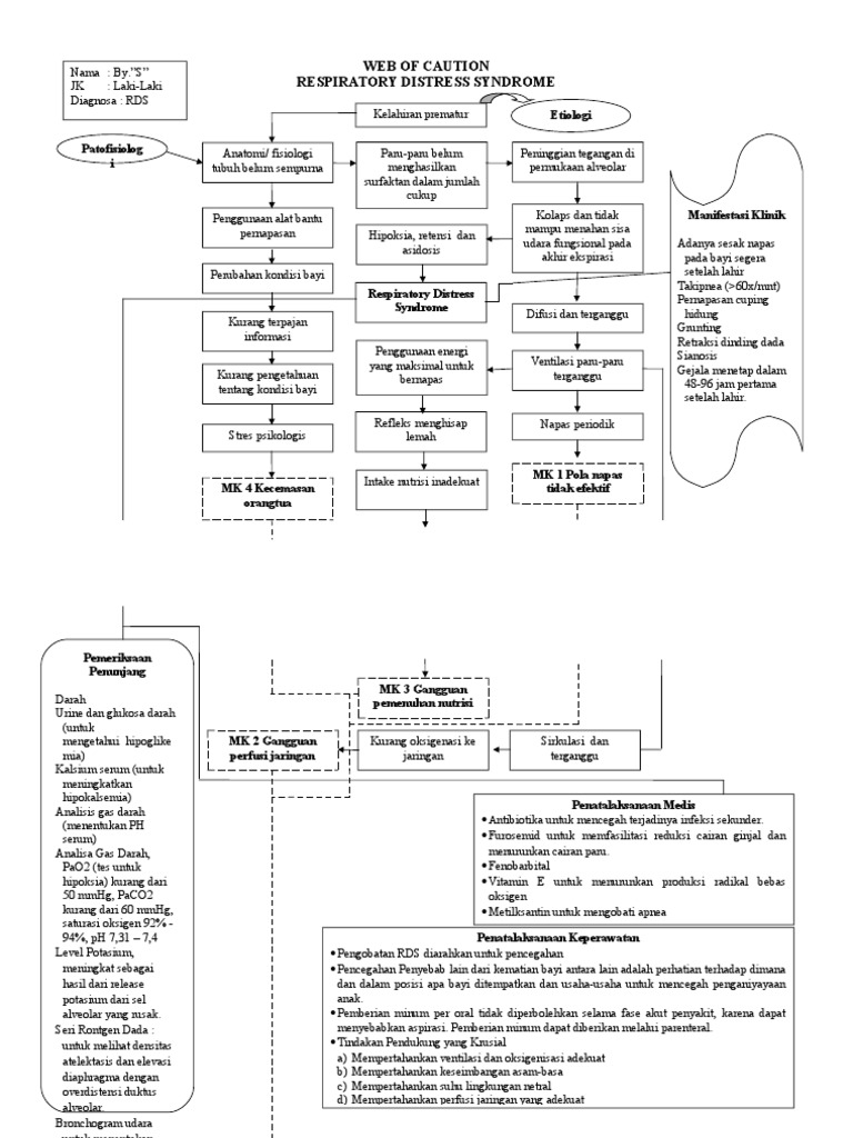 Web of Caution Rds | PDF