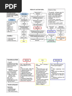 WOC Trauma Medula Spinalis 2 | PDF