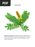 10 DOH-Approved Halamang Gamot and Their Indications, Uses and ...
