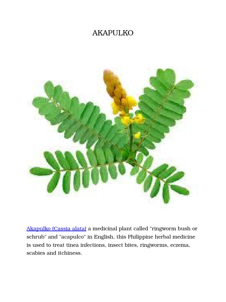 10 Medicinal Plants in The Philippines | PDF