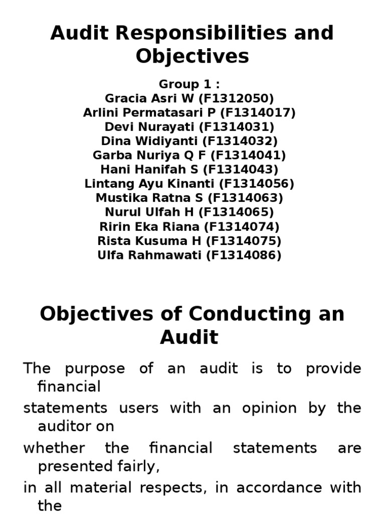 Audit Responsibilities and Objectives | Financial Audit | Audit