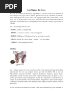 El Oráculo Del Coco | PDF | Religión y creencia