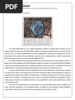 Cruzadinha Sobre Os Fungos PDF | PDF