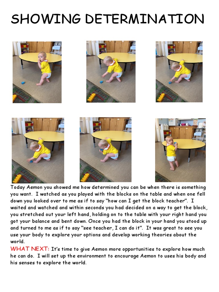 Showing Determination | PDF