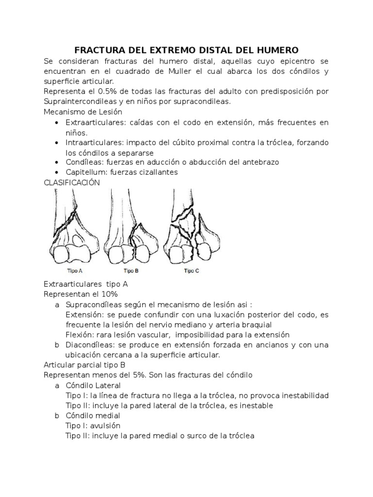 Fractura Del Extremo Distal Del Humero | PDF | Codo | Sistema esquelético