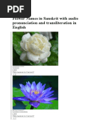 Marathi Flower Names List | PDF | Plants | Garden Plants
