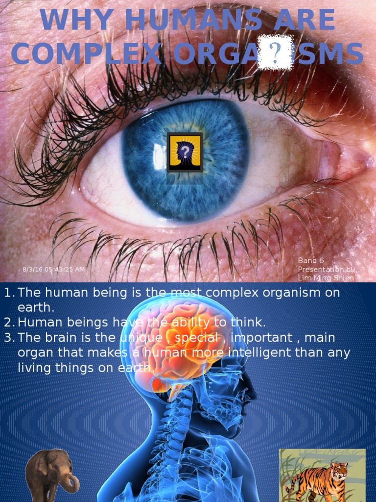 3.why Humans Are Complex Organisms | PDF