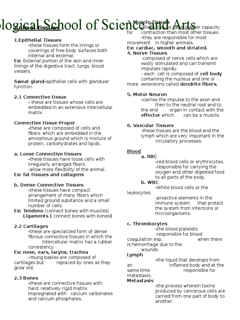 Animal Tissues: Asia Technological School of Science and Arts | PDF ...