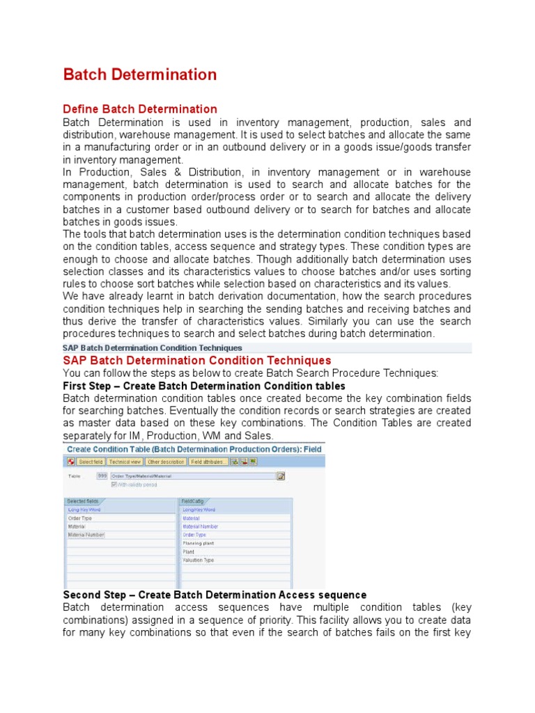 Batch Determination | PDF | Logistics | Inventory
