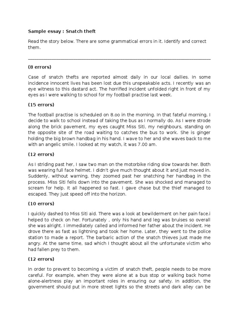 Sample Essay: Snatch Theft | PDF