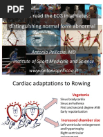 Universal ECG Sample Reports | PDF | Electrocardiography | Heart