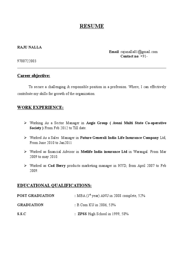 Raju Resume | PDF