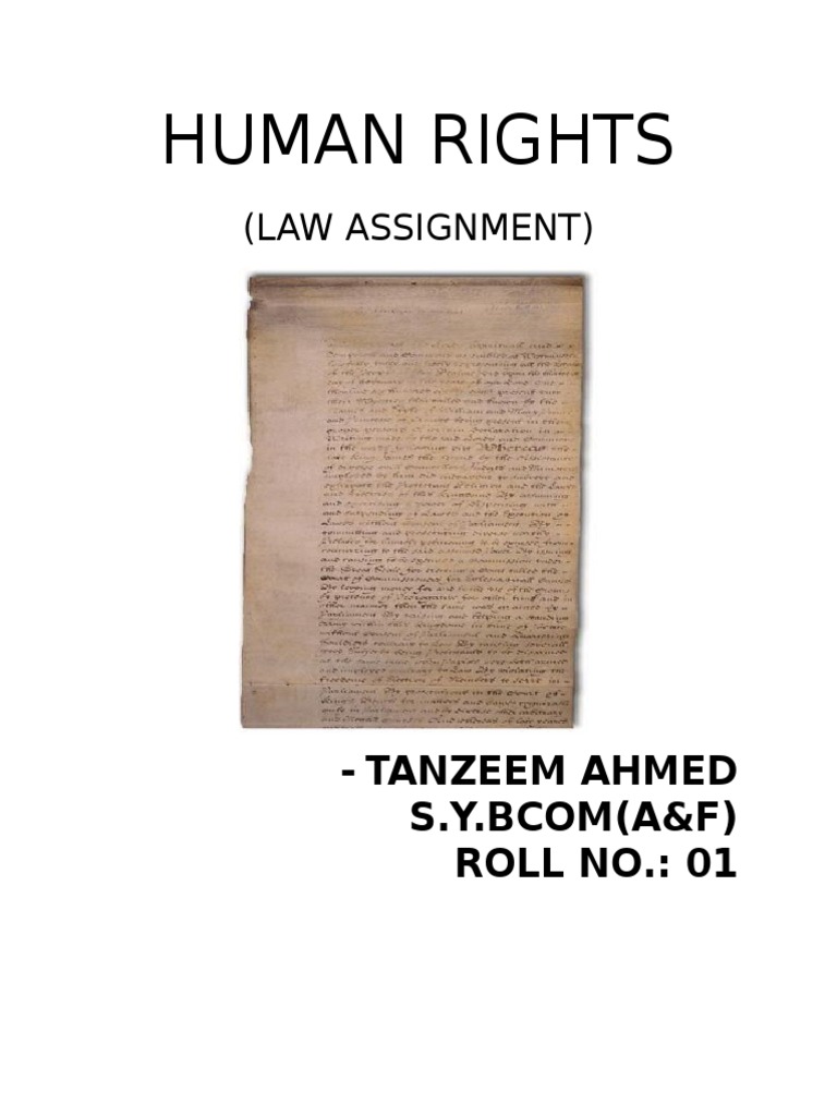 Human Rights: (Law Assignment) | PDF | Human Rights | Natural And Legal ...