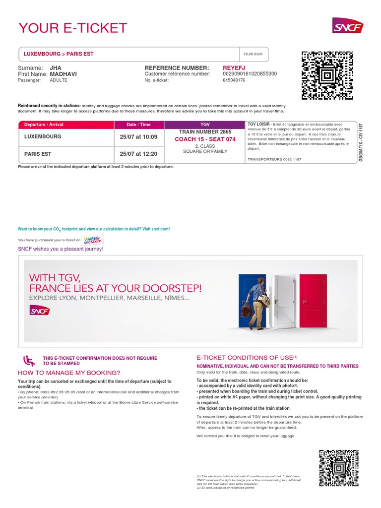 Your E-Ticket: Reference Number: JHA Madhavi | Download Free PDF ...