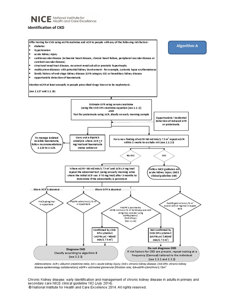 CKD Nice | PDF | Chronic Kidney Disease | Renal Function