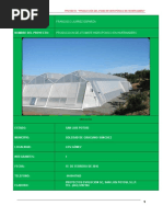 Proyecto de Locote en Paraguay | PDF | Pimiento | Economias