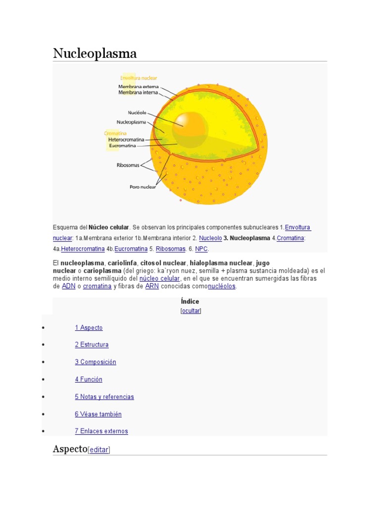 Nucleoplasma: Estructura y Función | PDF | Bioquímica | Química