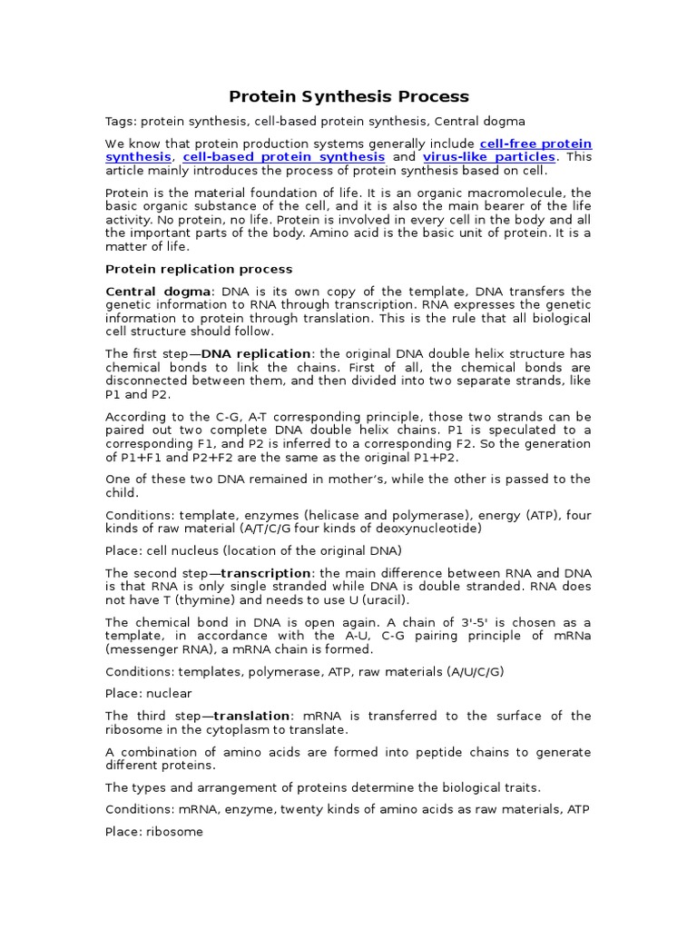 Protein Synthesis Process | PDF | Dna | Rna