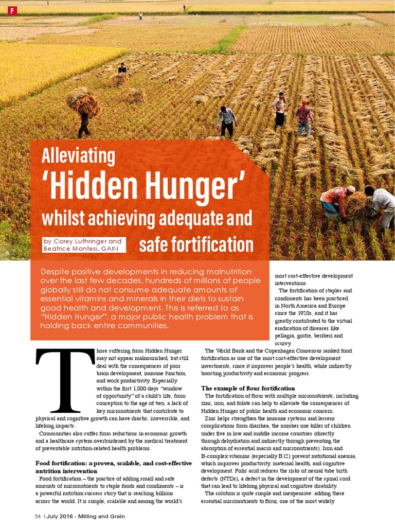 Alleviating Hidden Hunger' Whilst Achieving Adequate and Safe ...