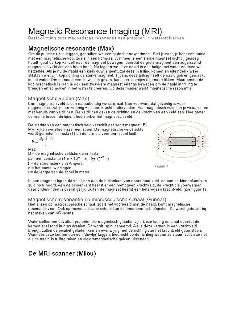 MRI Uitleg Nederlands | PDF