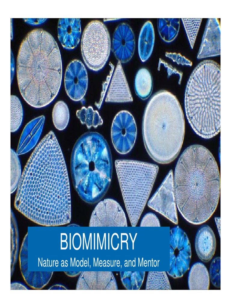 Biomimicry | PDF | Sustainability | Ecology
