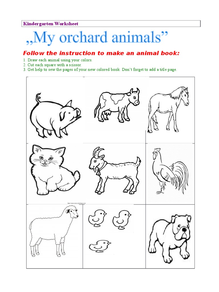 Create Your Animal Book | PDF