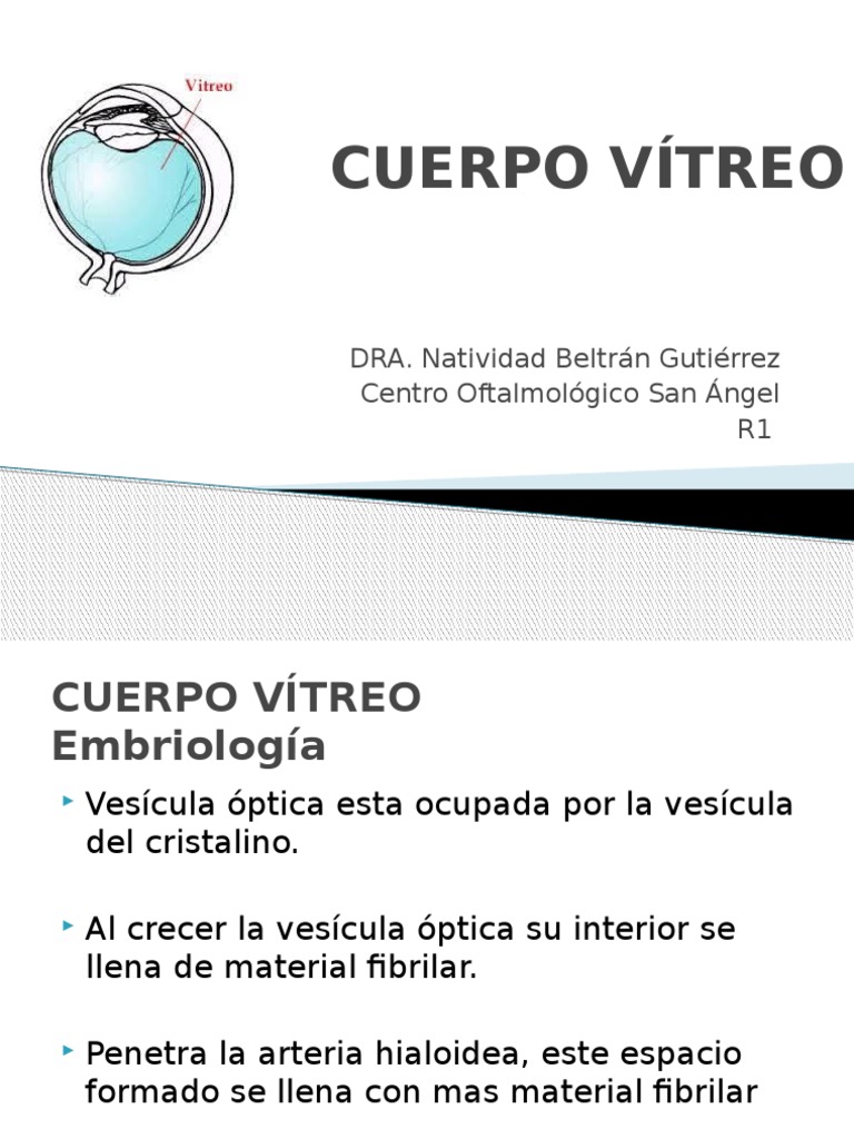 Cuerpo Vítreo Anatomia | PDF | Colágeno | Ojo humano