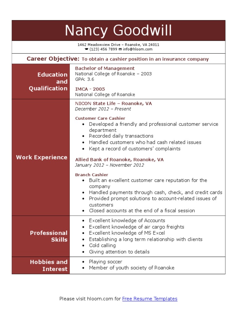 Nancy Goodwill's Resume Highlighting Over 10 Years of Experience as a ...