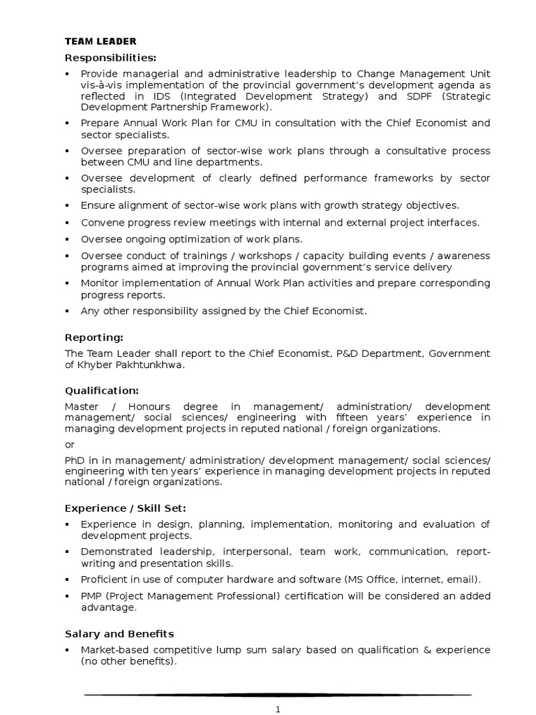 Team Leader | PDF