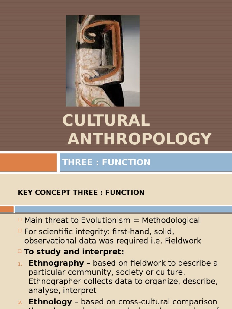 Cultural Anthropology: Three: Function | PDF