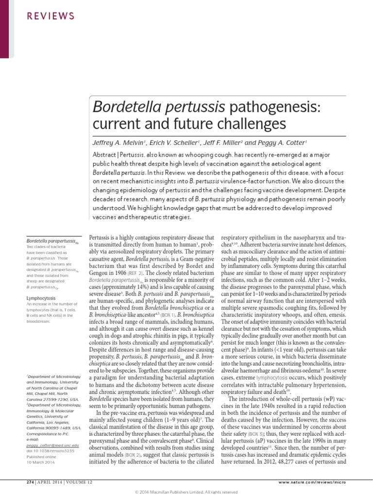 S1 DPG Jeffrey A 2014 Bordtella Pertussis Pathogenesis | PDF ...