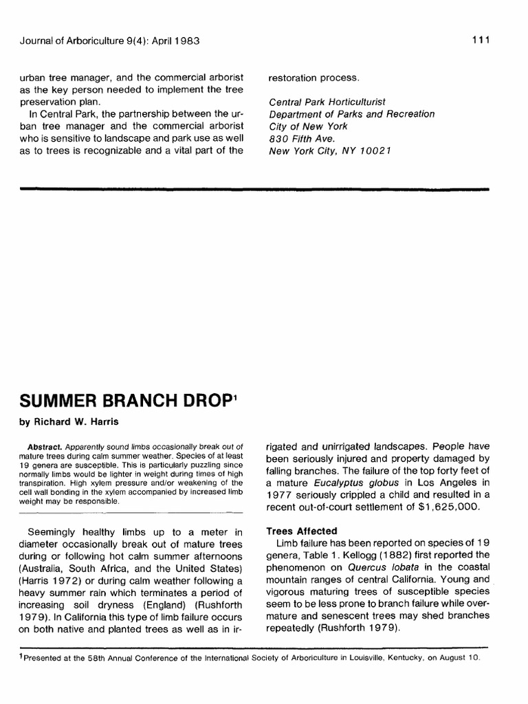 Summer Branch Drop | PDF | Trees | Wood