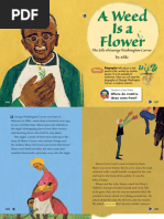 Lubby Santa | PDF | Horticulture And Gardening | Plants