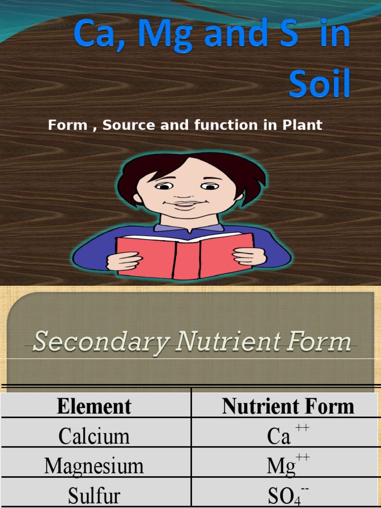 Plant Nutrient Forms and Functions | PDF
