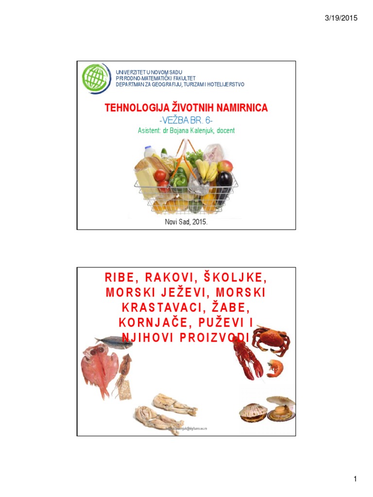 Ribe, Rakovi, Skoljke, Morski Jezevi I Krastavci, Zabe, Kornjace ...