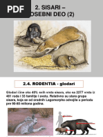 Ruze Topalovic Katalog | PDF