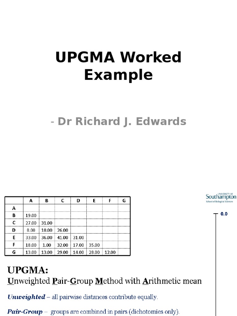 UPGMA Clustering Example Guide | PDF