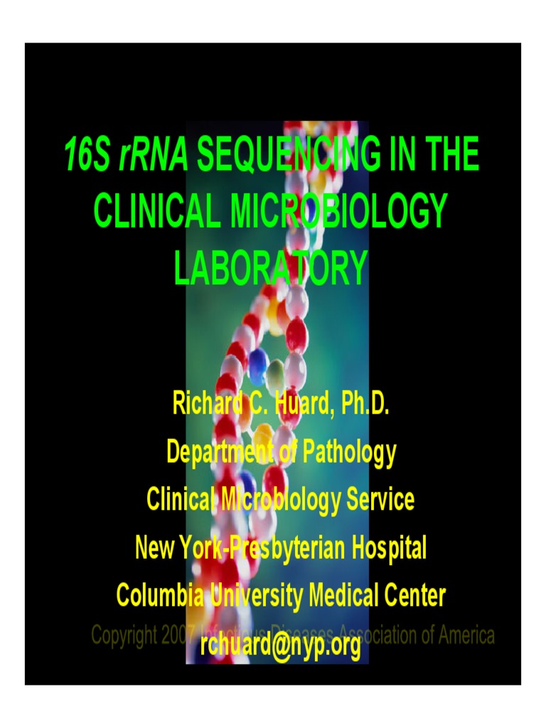 16s Rna Sequencing | PDF | 16 S Ribosomal Rna | Ribosomal Rna