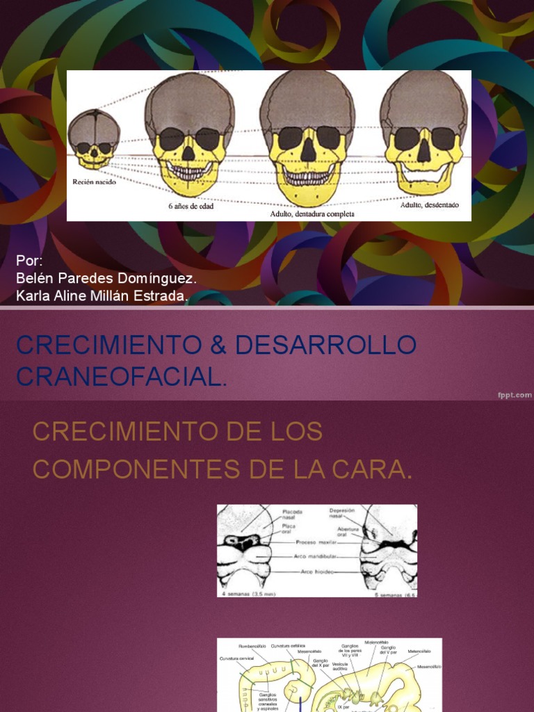 DESARROLLO Y CRECIMIENTO CRANEOFACIAL.pptx | Cráneo | Sistema ...