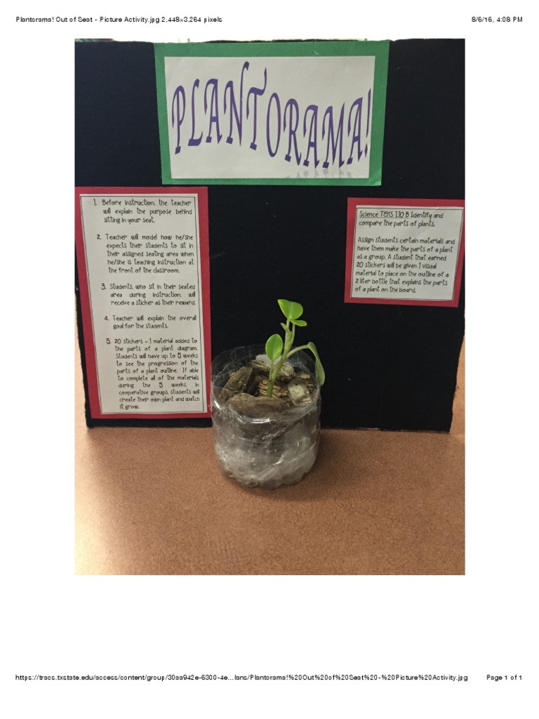 BCP Out Seat Jorgiana 2 | PDF