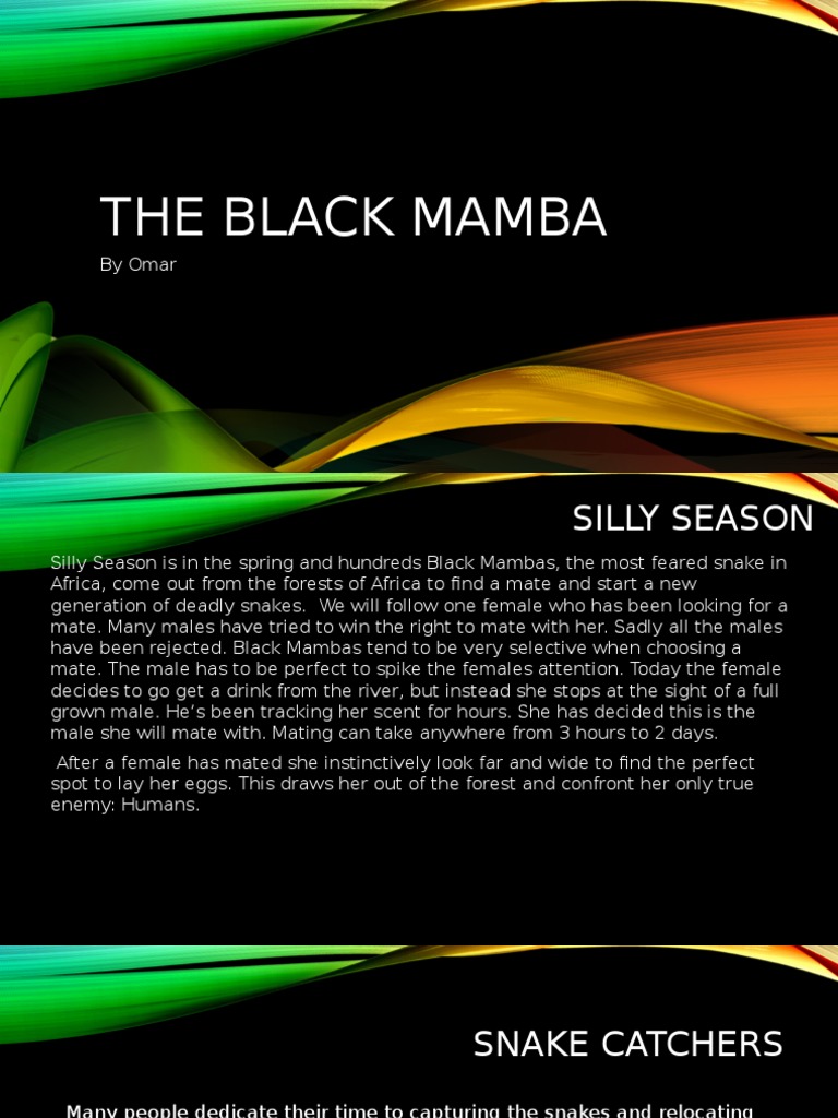 The Black Mamba | PDF