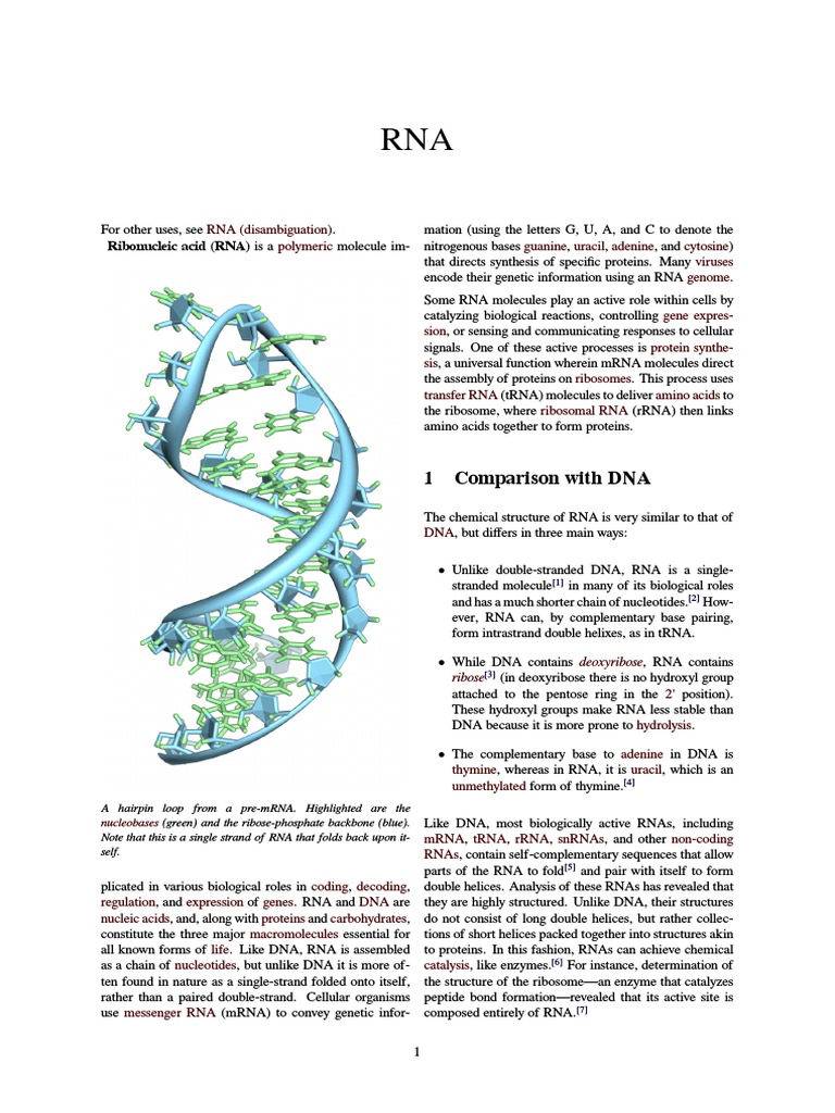 Rna PDF | PDF | Rna | Messenger Rna