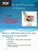 Introduction To Animal Production | PDF | Livestock | Poultry Farming