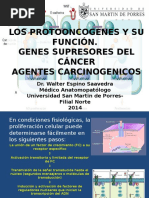 Perfil ENA y detección de autoanticuerpos | PDF | Anticuerpo | Bioquímica