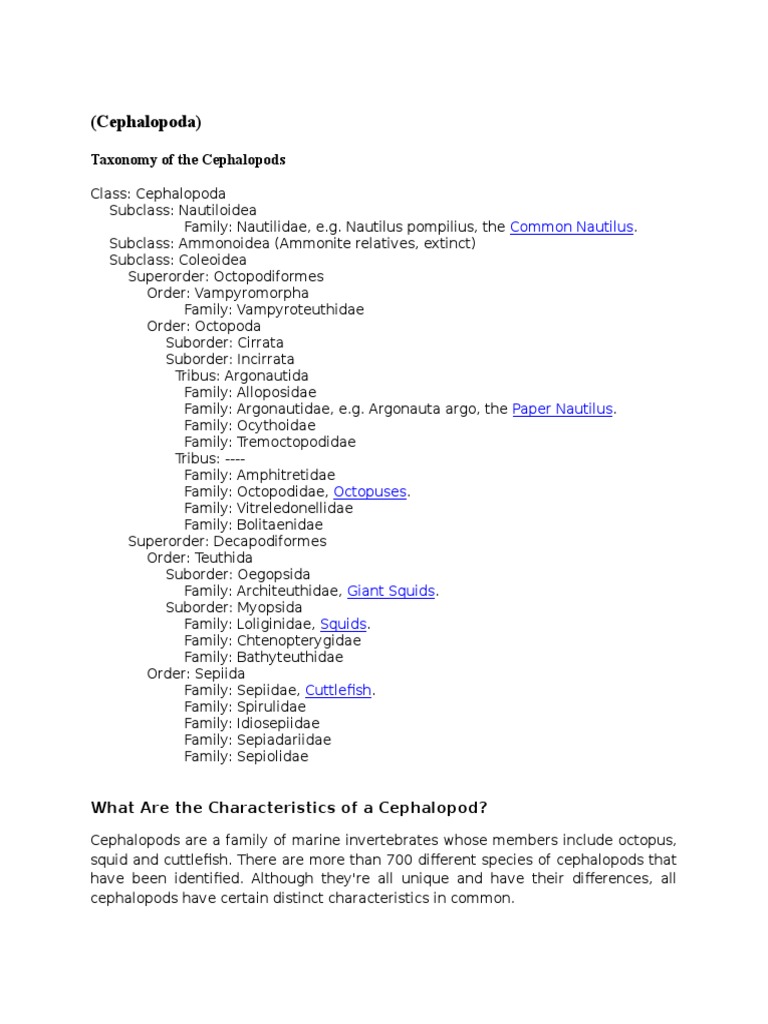 (Cephalopoda) : Taxonomy of The Cephalopods | PDF | Gill | Digestion