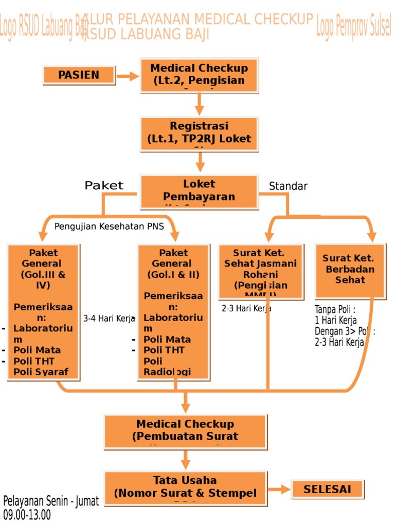 Comprehensive Medical Checkup Process | PDF