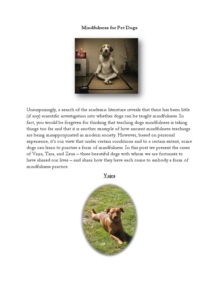 Mindfulness For Dogs | PDF | Mindfulness | Meditation