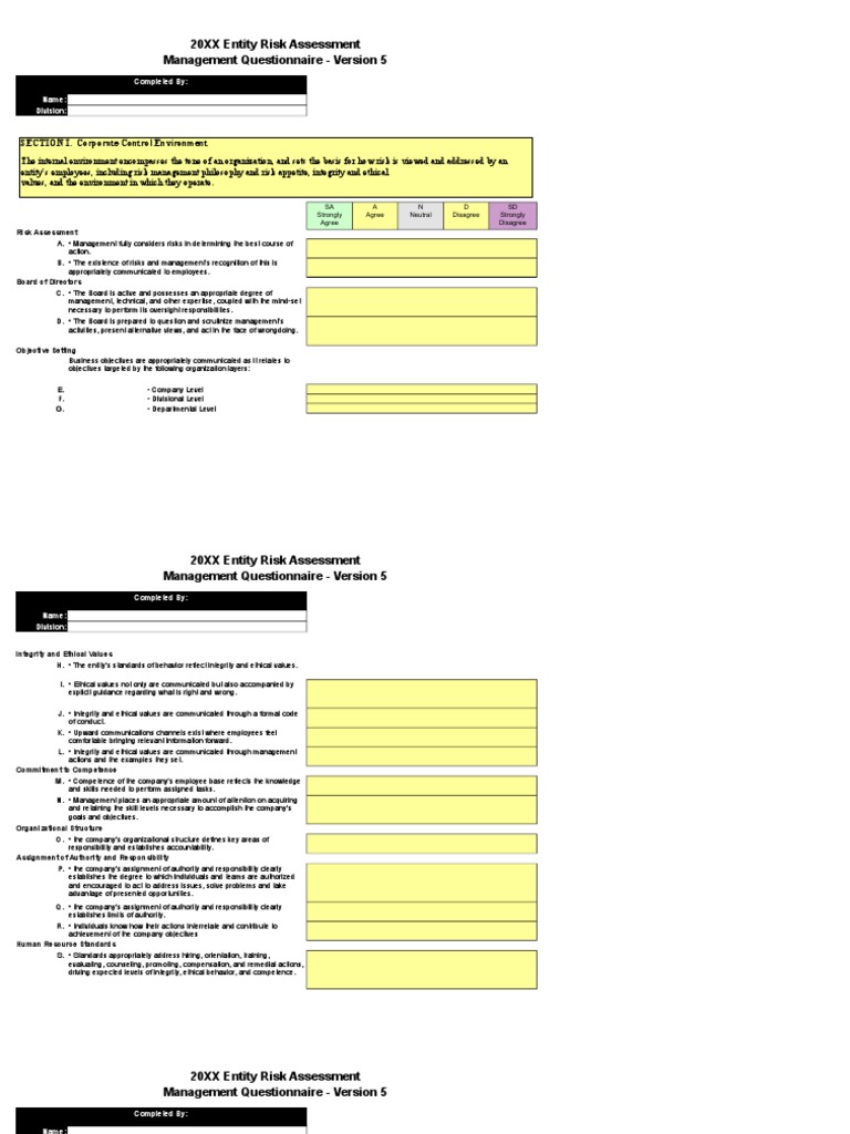20XX Entity Risk Assessment Management Questionnaire - Version 5 | PDF ...