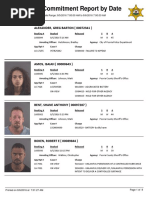 Peoria County Jail Booking Sheet | PDF | Law Enforcement | Crime & Violence